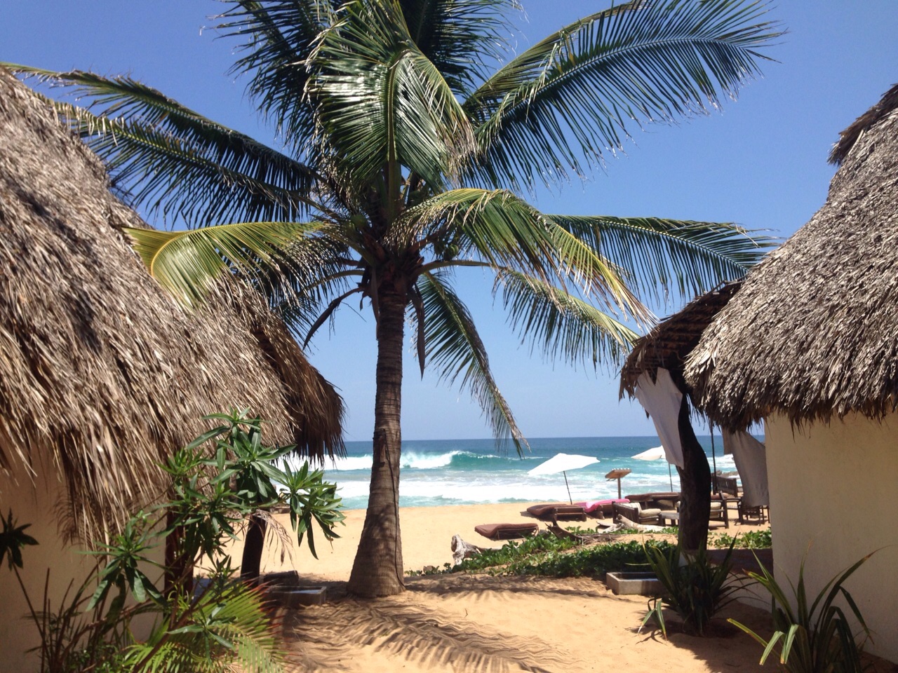 Who I am – Online Italian Teacher